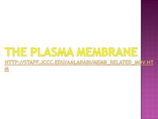 Cell plasma membrane | PPT