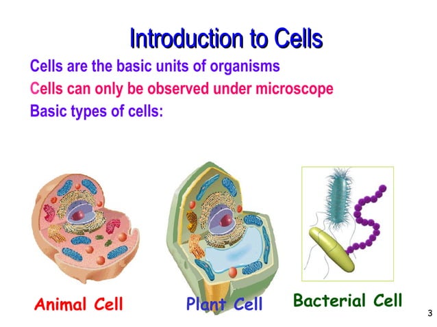 Cell ppt. | PPT
