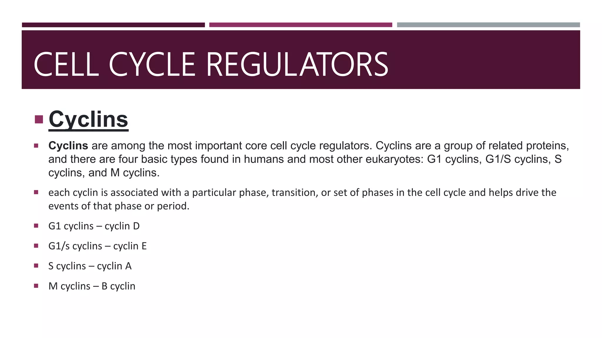 cell cycle , cell checkpoints , cell cycle regulators | PPTX ...