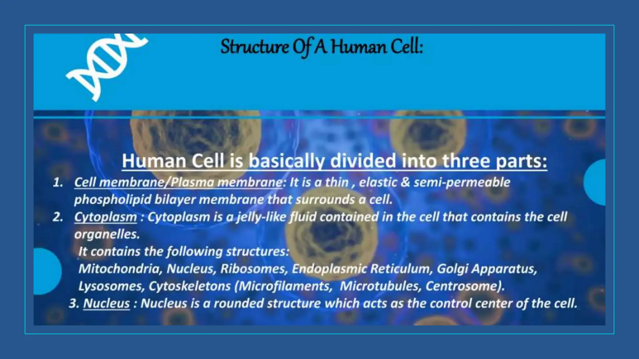 Cell_PPT.pptx