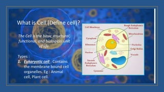 Cell_PPT.pptx
