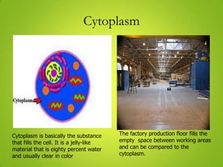 Cell presentation | PPTX