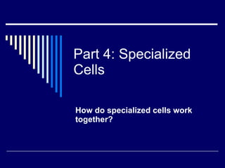 Cell processes | PPT