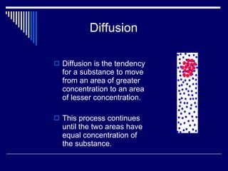 Cell processes | PPT