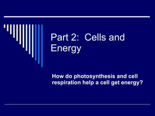 Cell processes | PPT