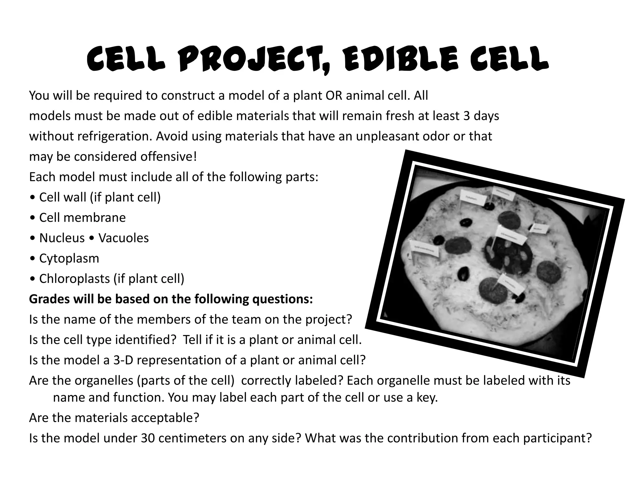 Cell project, edible cell | PPT