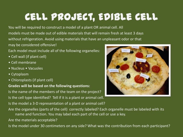 Cell project, edible cell | PPT