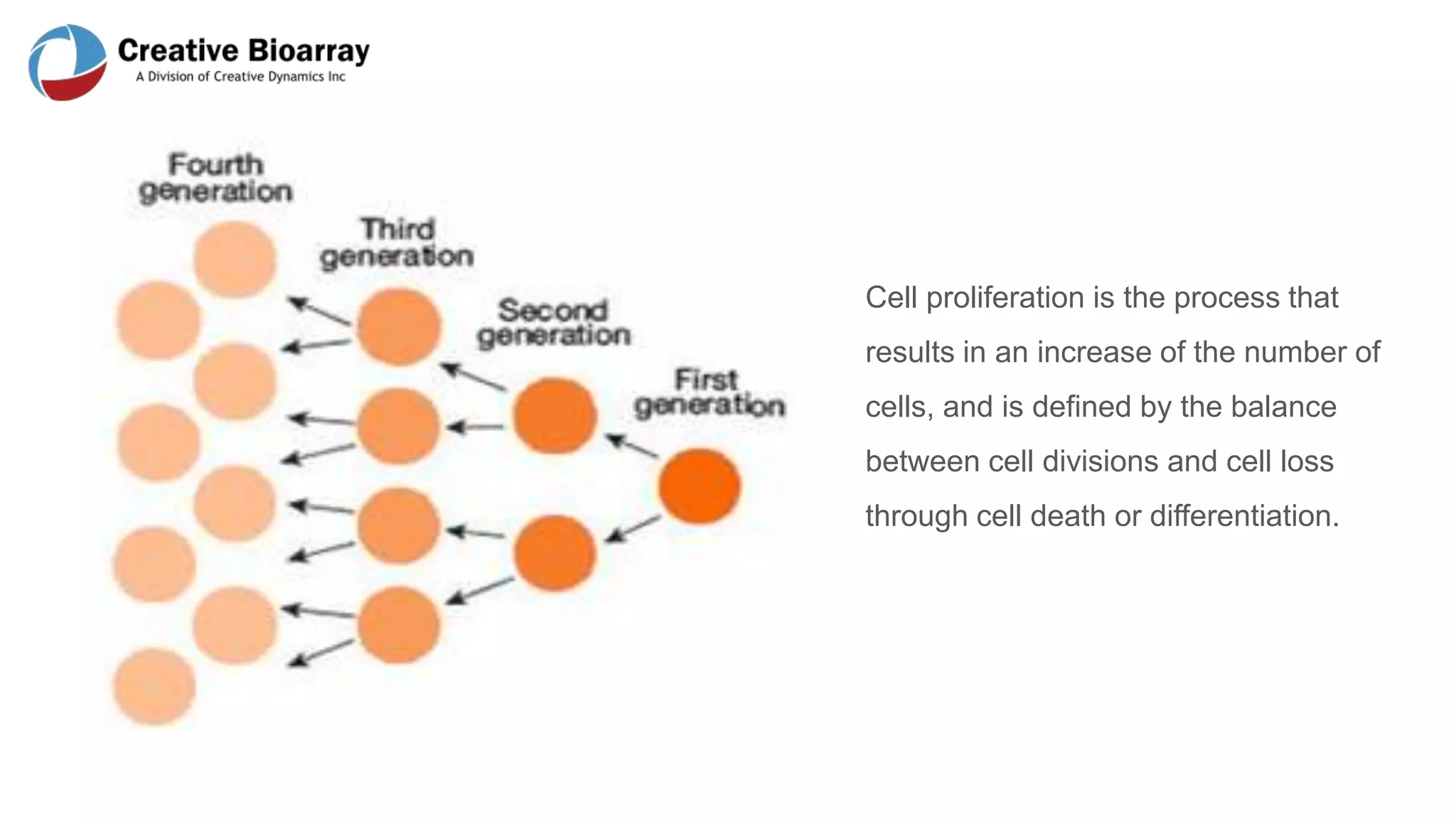 Cell proliferation assay services | PPTX