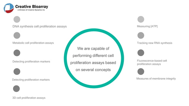 Cell proliferation assay services | PPTX