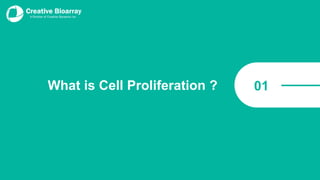 Cell proliferation assay services | PPTX