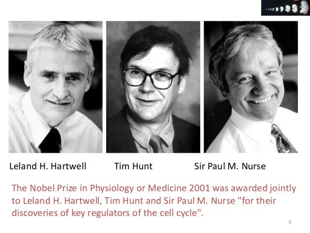 Cell proliferation & differentiation