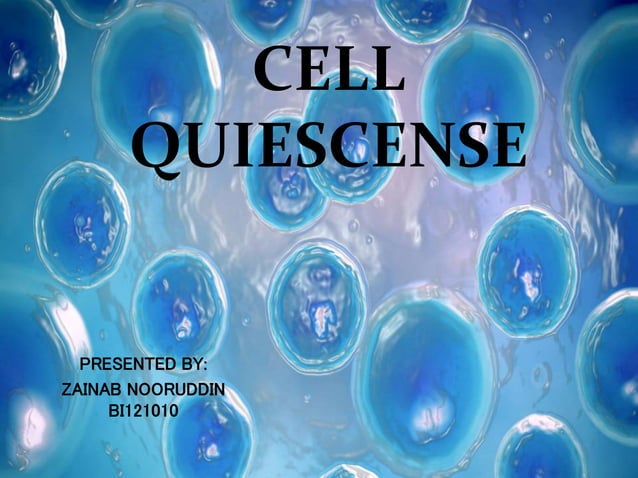 Cell Quiescense | PPT