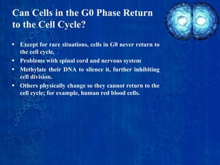 Cell Quiescense | PPTX