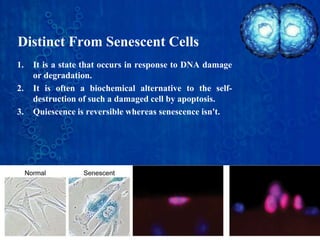 Cell Quiescense | PPTX