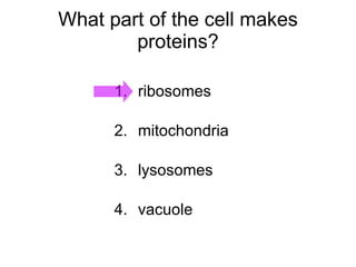 Cell Quiz | PPS