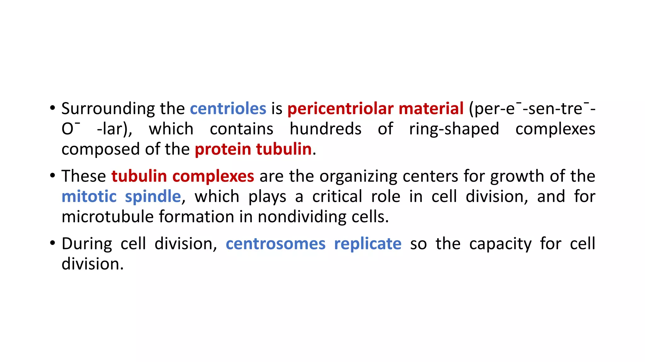 HUMAN Cell _RDP | PPTX