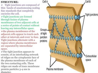 Cell Recognition Proteins