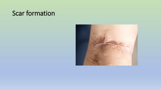 Cell repair | PDF
