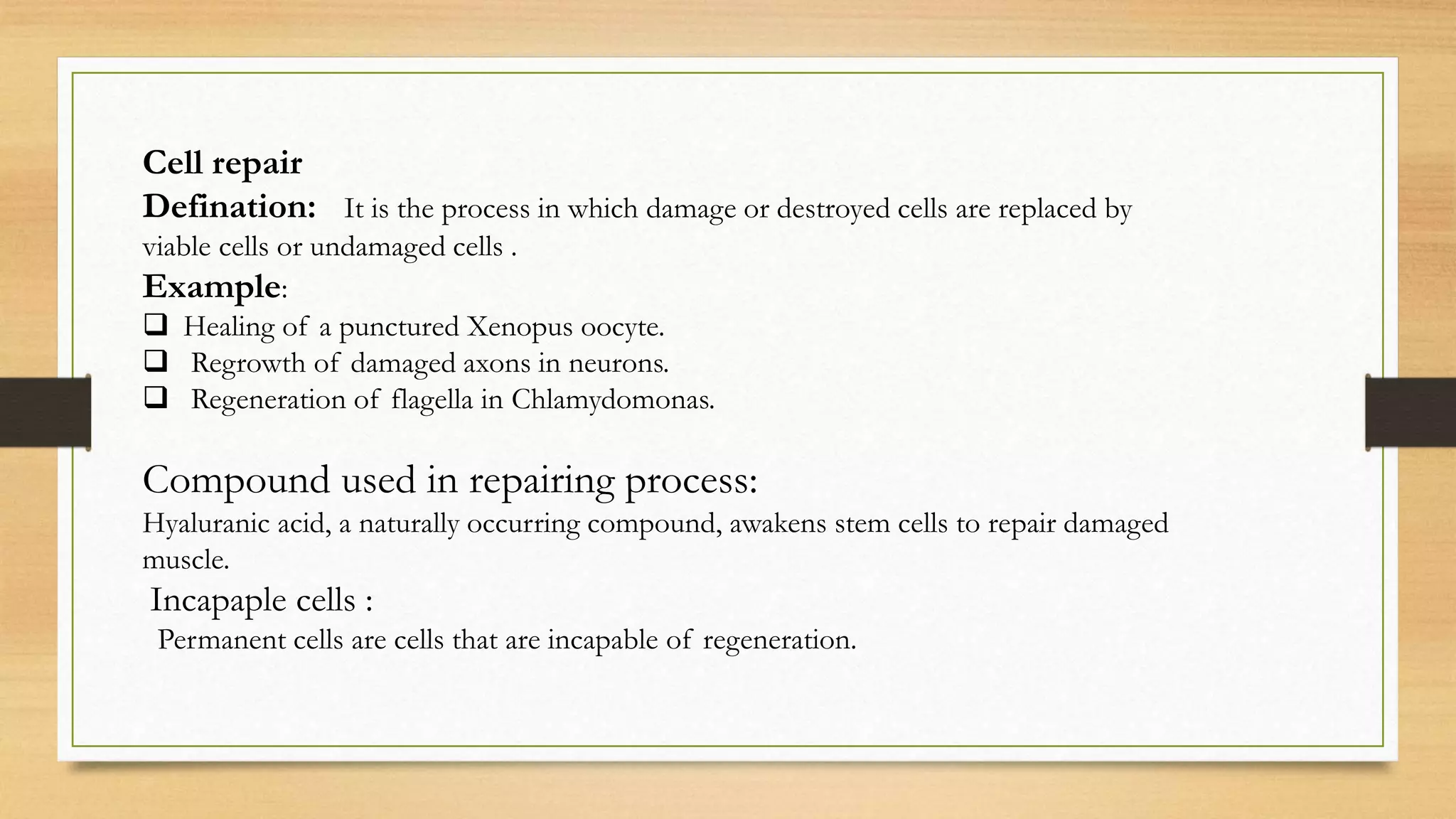 cell repair.pptx