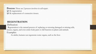 cell repair.pptx