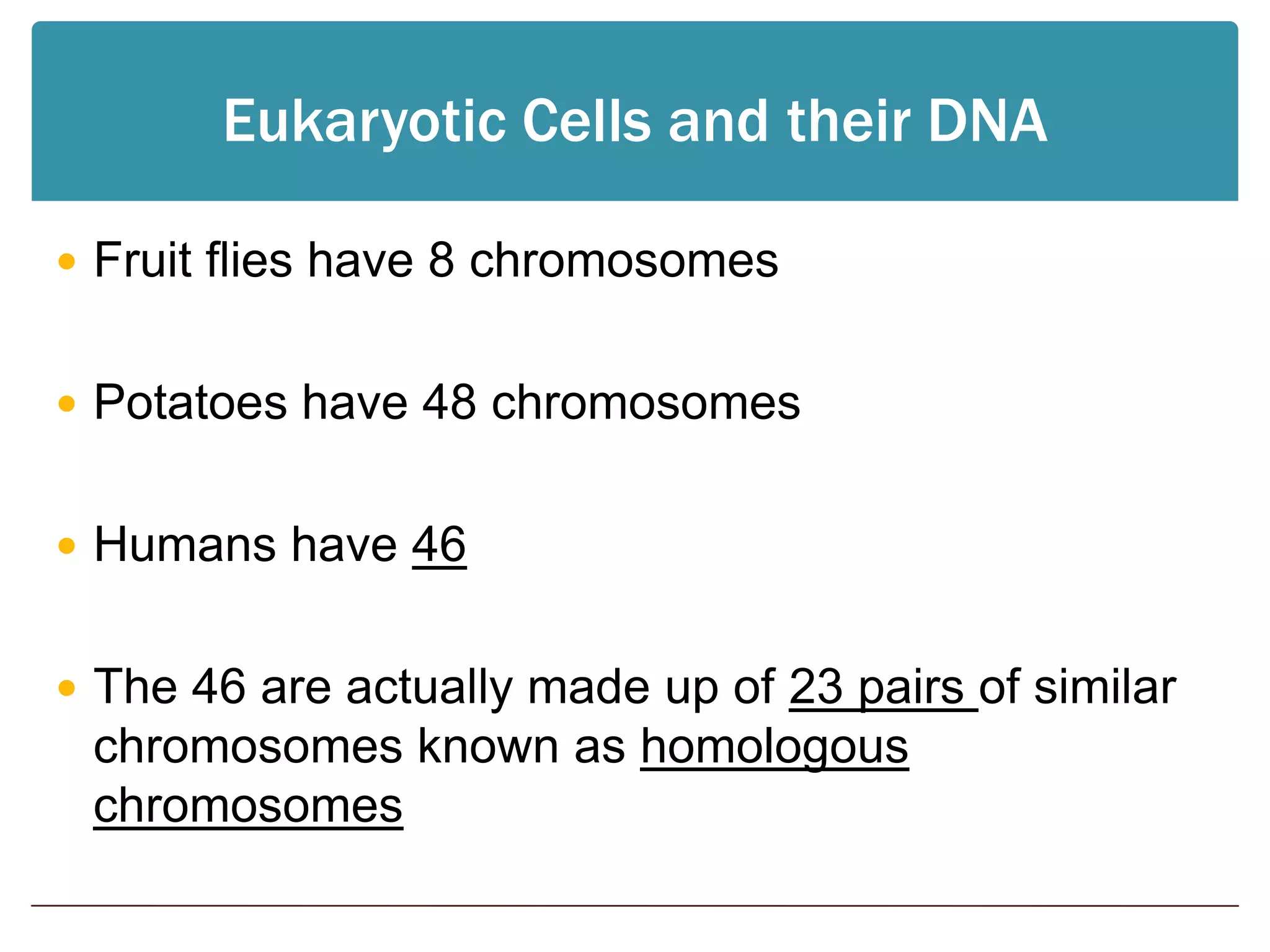 Cell Reproduction | PPTX
