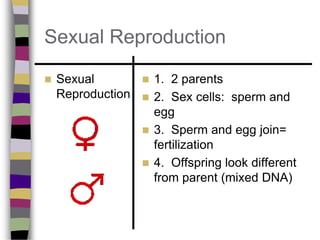 Cell Reproduction.ppt