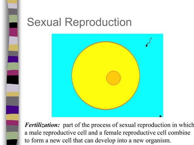 Cell Reproduction.ppt