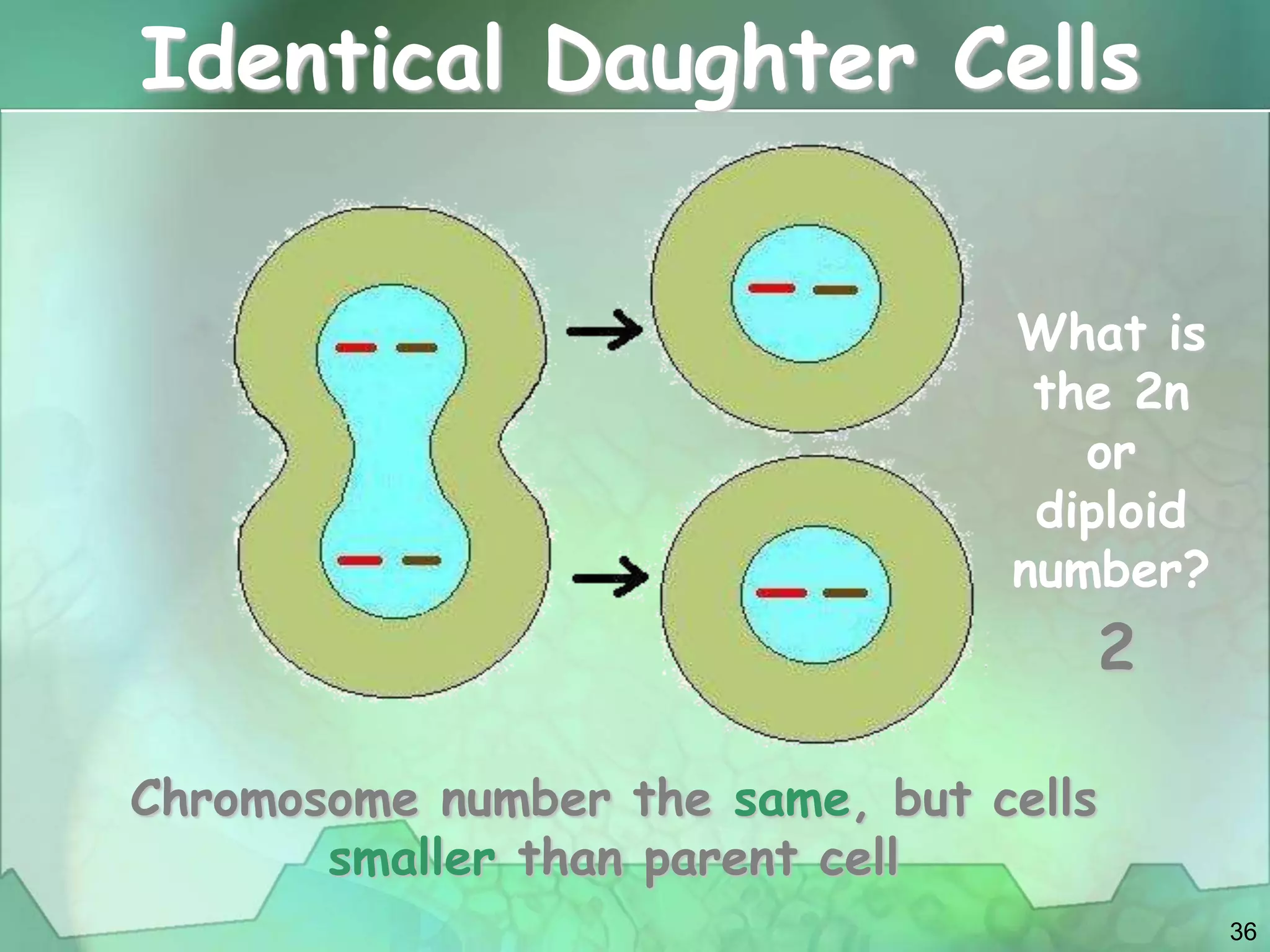 Cell Reproduction.pptx