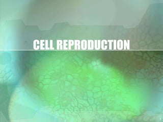 Cell Reproduction.pptx
