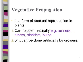Cell Reproduction ppt for Grade 7 Science | PPT