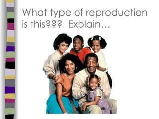 Cell Reproduction ppt for Grade 7 Science | PPT