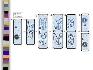 Cell Reproduction ppt for Grade 7 Science | PPT