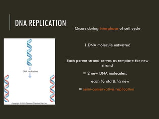 Grade 7 Cell Reproduction mitosis meiosis.ppt