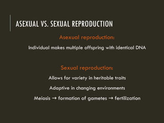 Grade 7 Cell Reproduction mitosis meiosis.ppt