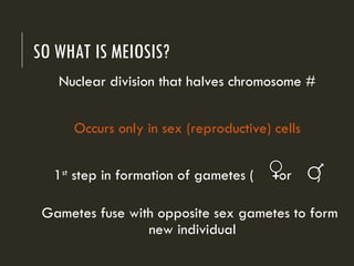 Grade 7 Cell Reproduction mitosis meiosis.ppt