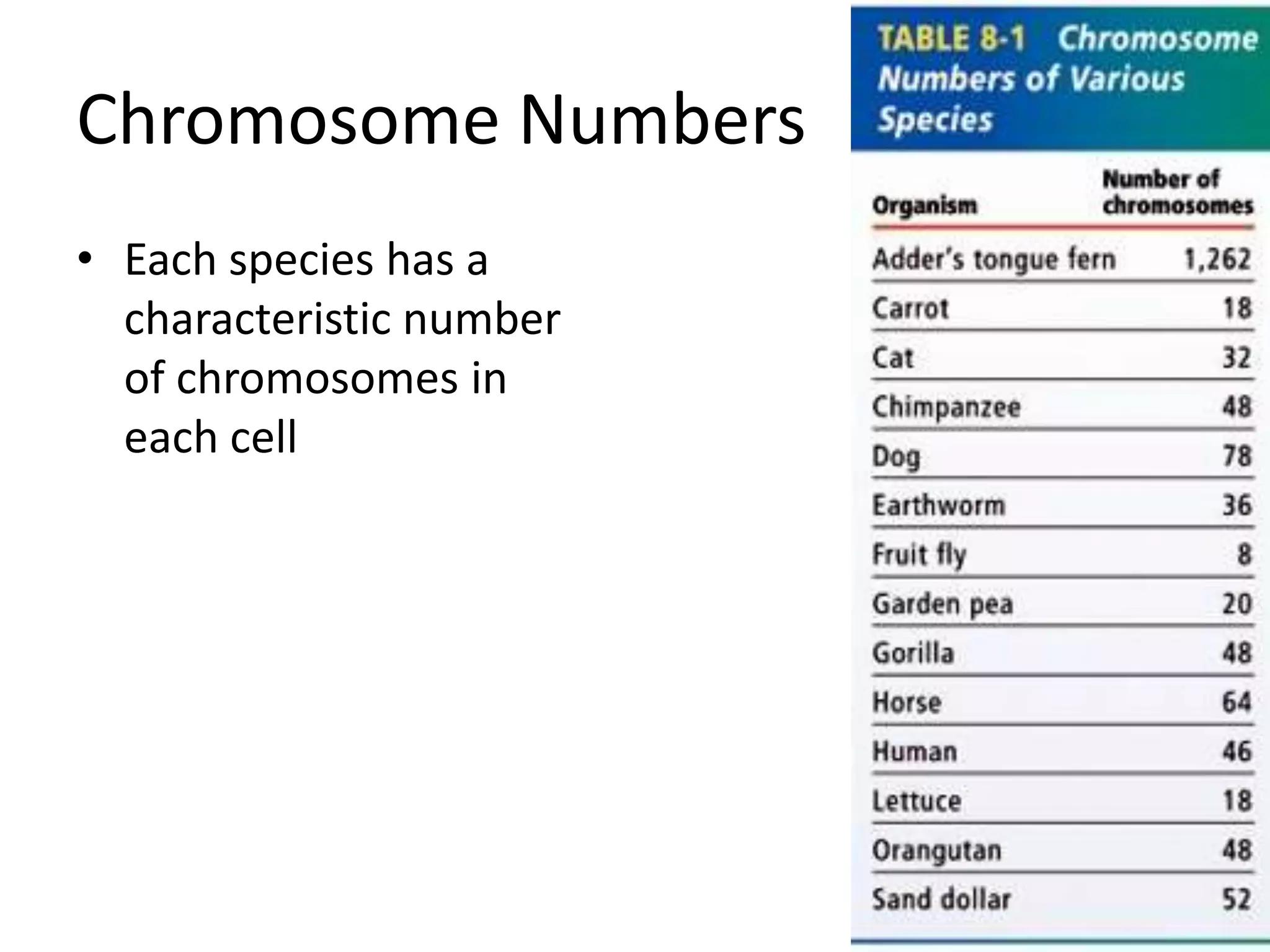Cell reproduction notes | PPTX