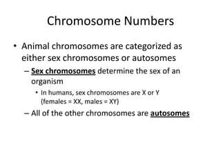 Cell reproduction notes | PPTX