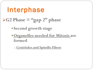 Cell reproduction (part 2) | PPT