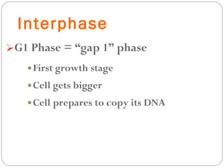 Cell reproduction (part 2) | PPT