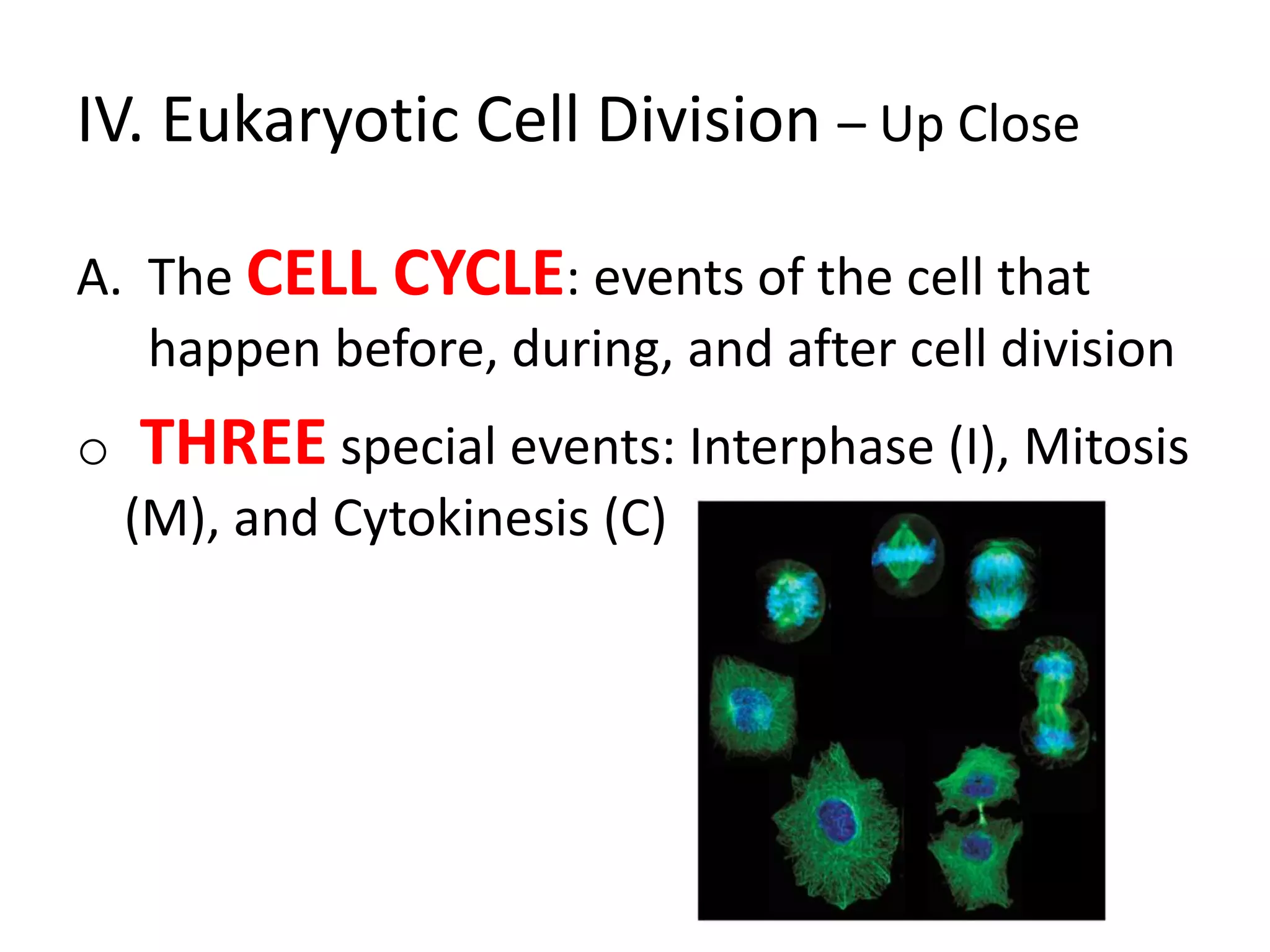 Cell reproduction part 2 | PPT