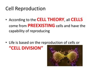 Cell reproduction part 2 | PPT