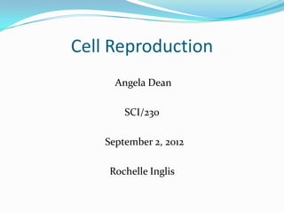 Cell reproduction sunday | PPTX