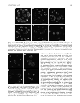 Cell reprogram | PDF