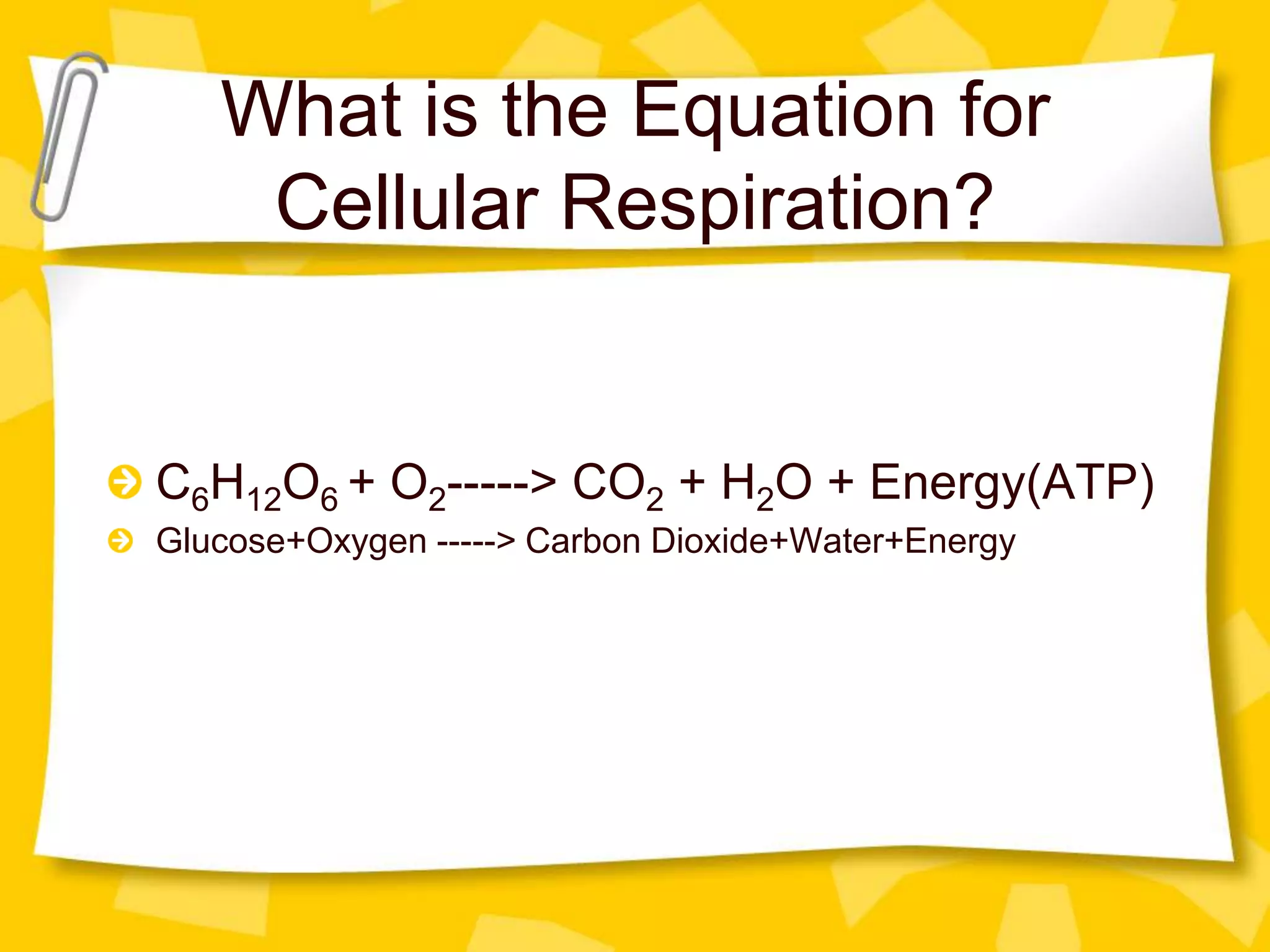Cell respiration | PPTX