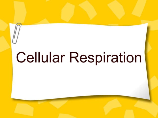 Cell respiration | PPTX