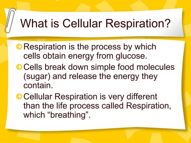 Cell respiration | PPTX