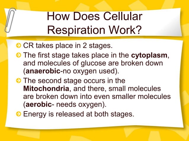 Cell respiration | PPTX