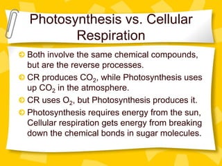 Cell respiration | PPTX