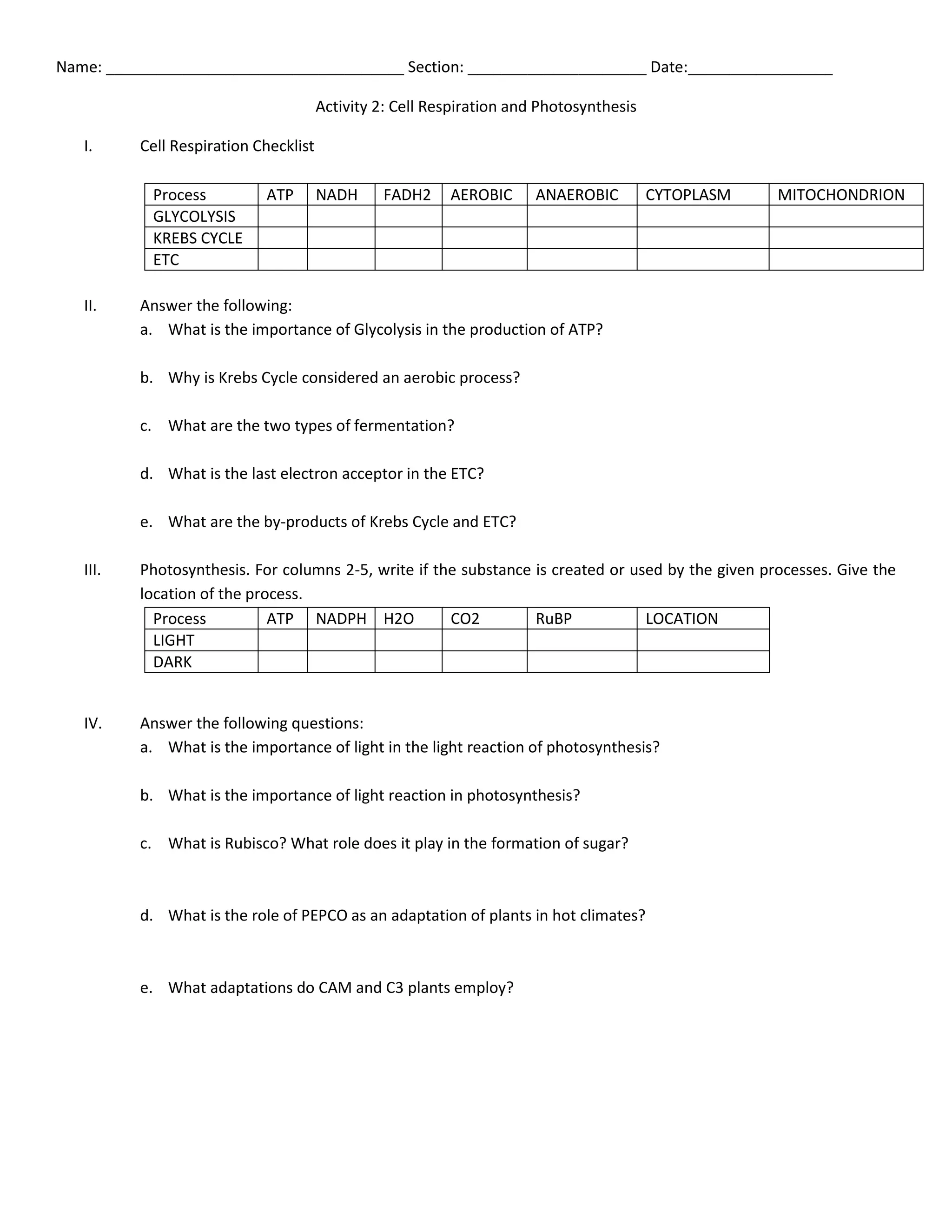 Cell respi photosynthesis activity | DOCX