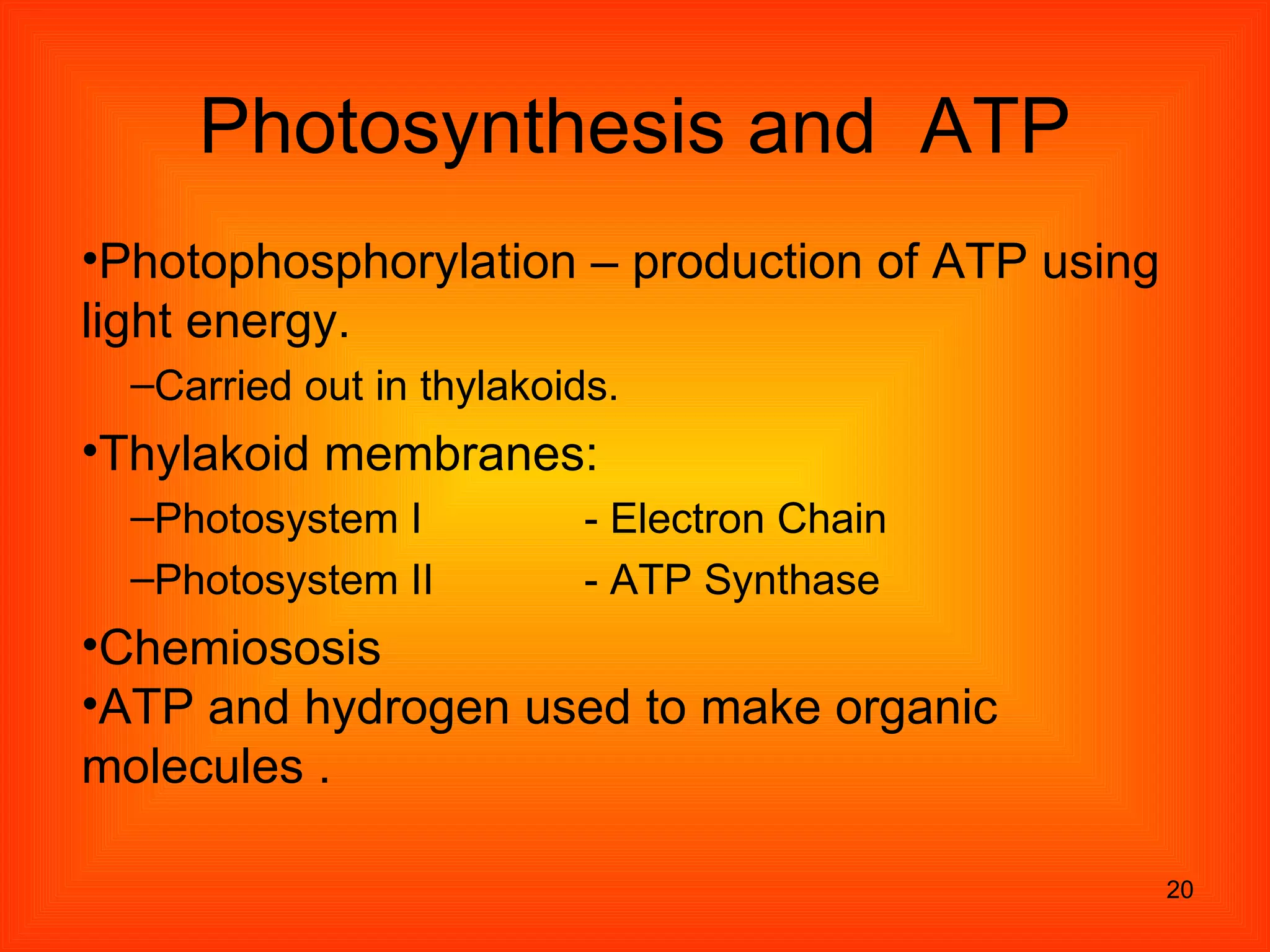 Cellular Respiration and Photosynthesis | PPT | Chemistry | Science
